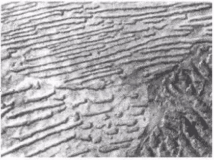 8 Common Microstructures of Metal and Alloy - Meetyou Carbide